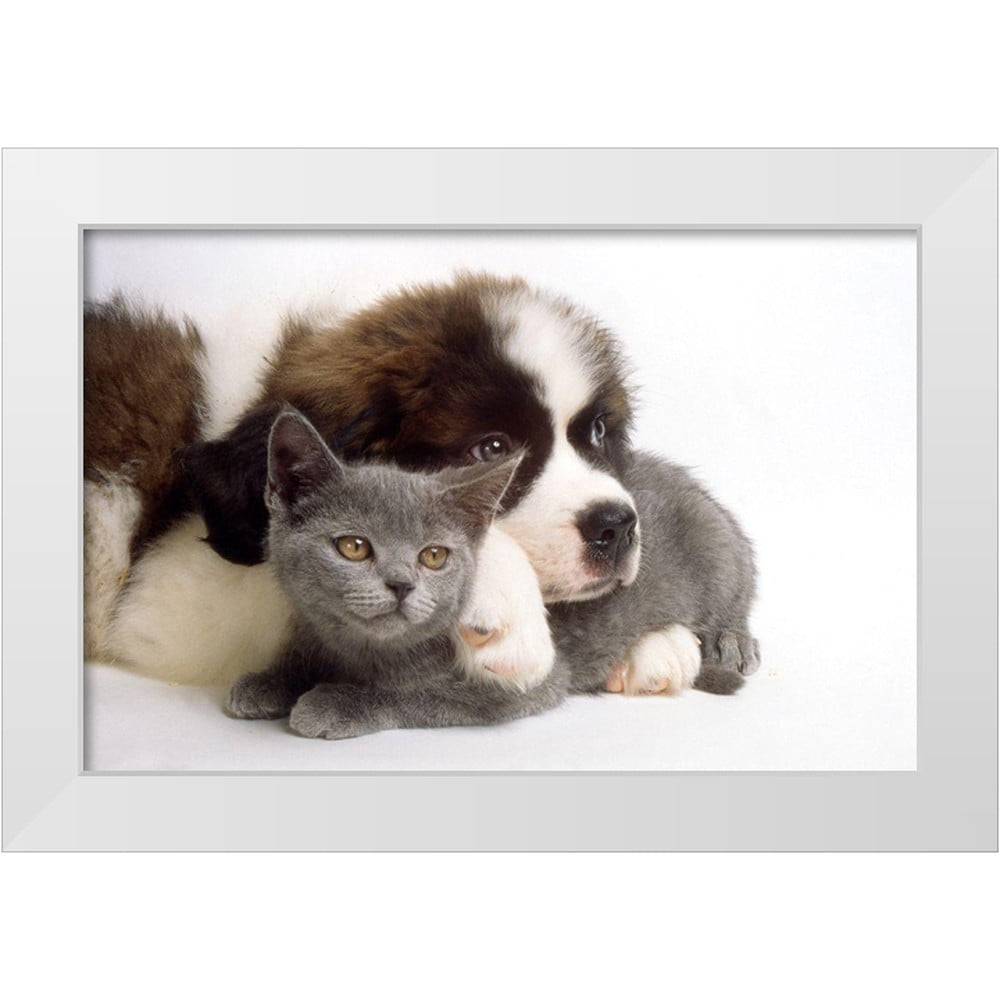 Hoenderkamp, Patrick 14x11 White Modern Wood Framed Museum Art Print ...