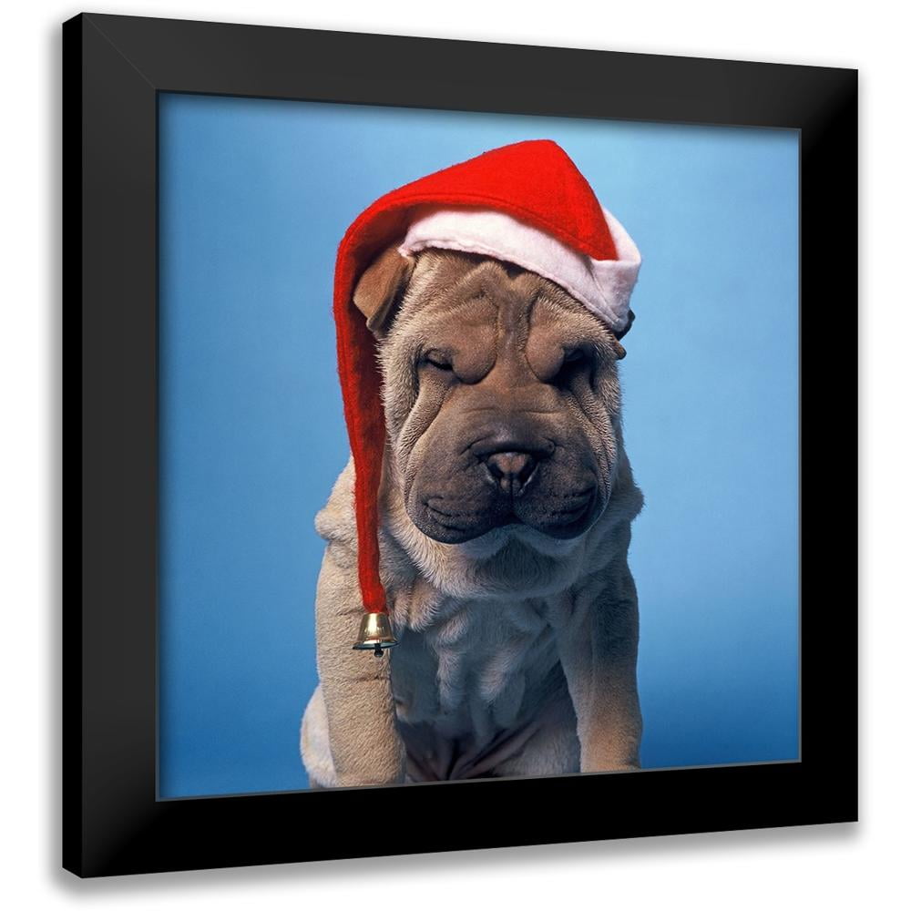 Hoenderkamp, Patrick 15x15 Black Modern Framed Museum Art Print Titled ...