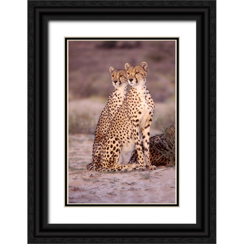 Hoenderkamp, Patrick 17x24 Black Ornate Wood Framed with Double Matting ...