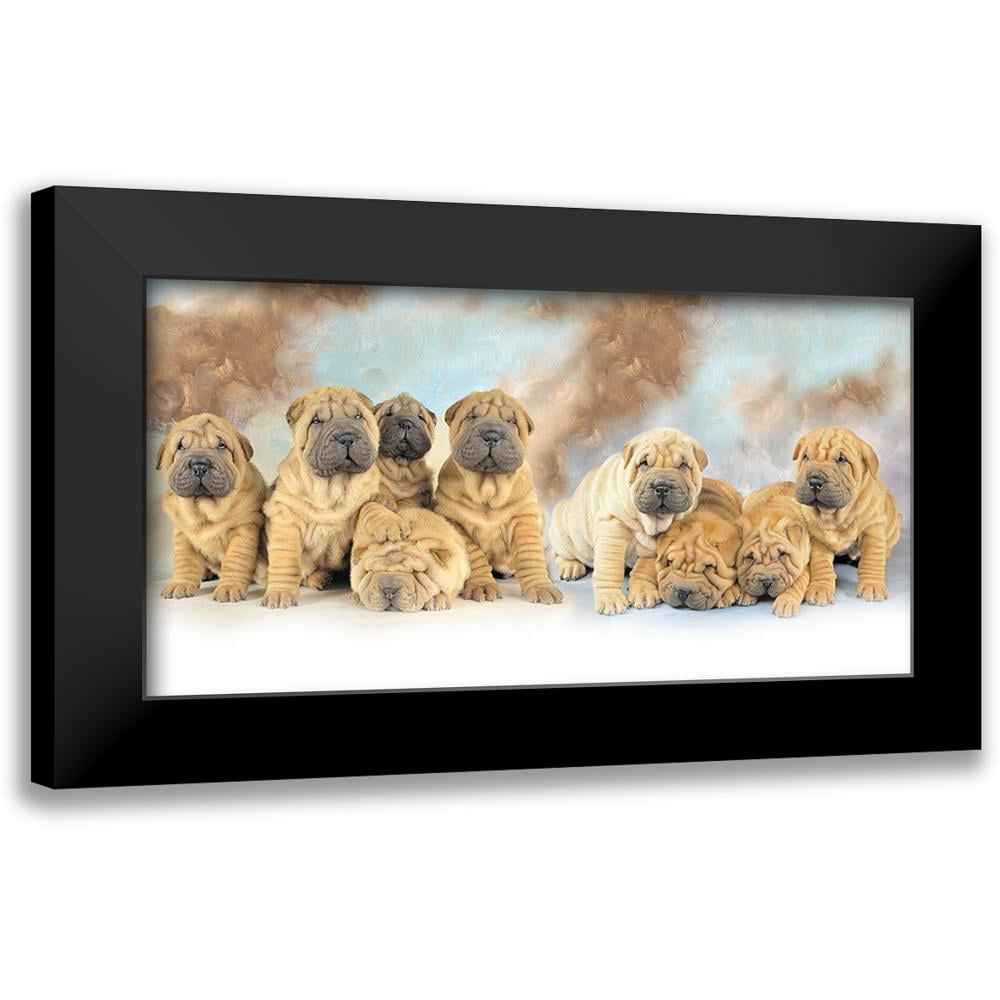 Hoenderkamp, Patrick 18x11 Black Modern Framed Museum Art Print Titled ...