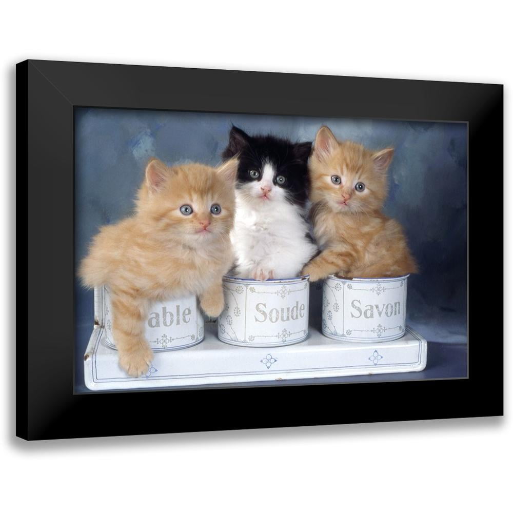 Hoenderkamp, Patrick 18x13 Black Modern Framed Museum Art Print Titled ...