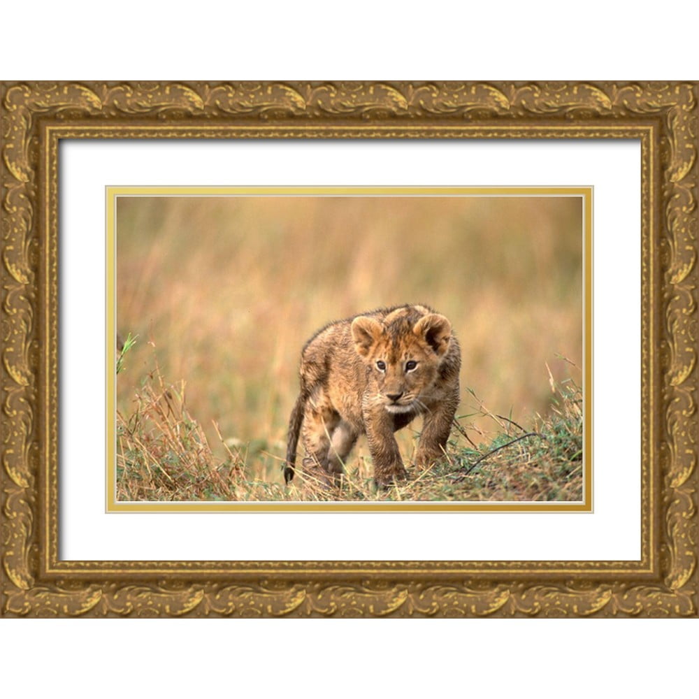 Hoenderkamp, Patrick 18x13 Gold Ornate Wood Framed with Double Matting ...