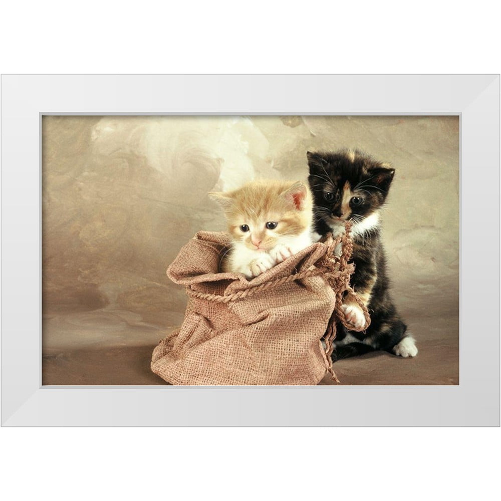 Hoenderkamp, Patrick 18x13 White Modern Wood Framed Museum Art Print ...