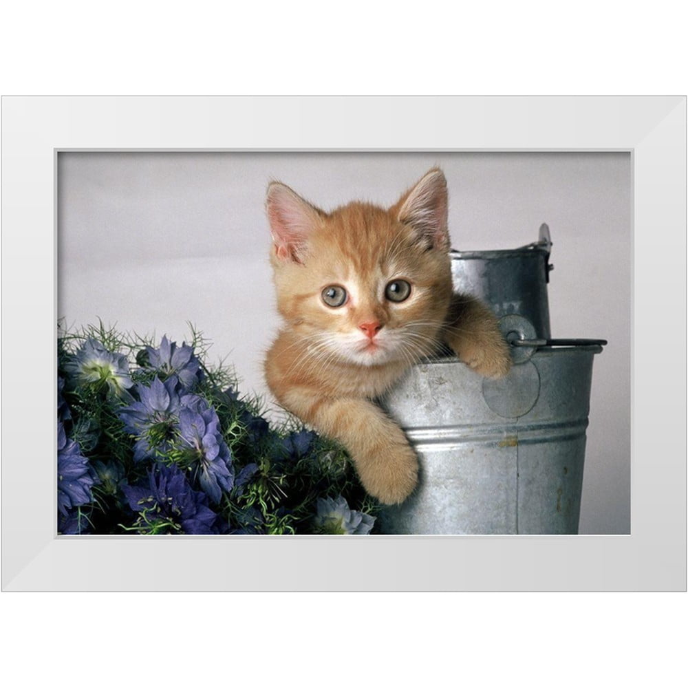 Hoenderkamp, Patrick 18x13 White Modern Wood Framed Museum Art Print ...