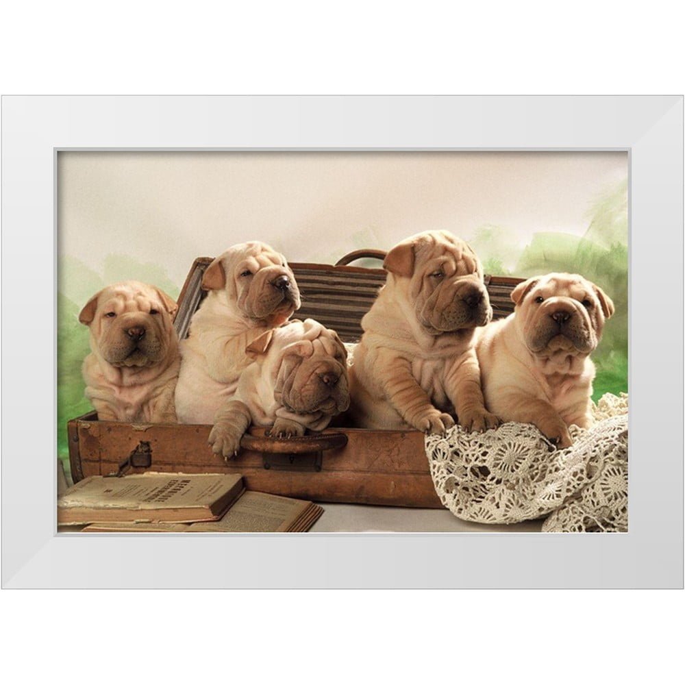 Hoenderkamp, Patrick 18x13 White Modern Wood Framed Museum Art Print ...