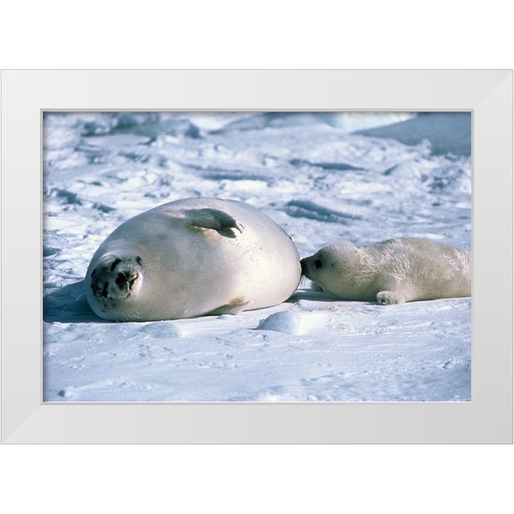 Hoenderkamp, Patrick 18x13 White Modern Wood Framed Museum Art Print ...