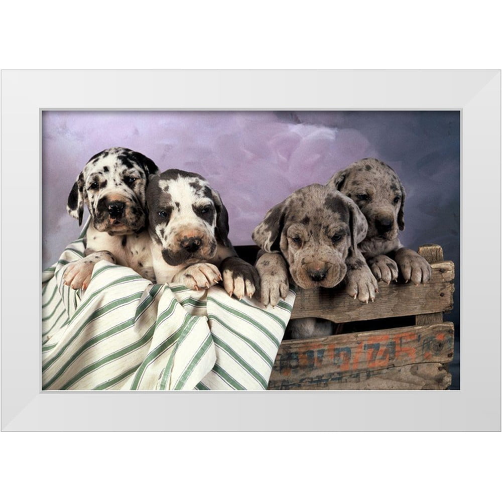 Hoenderkamp, Patrick 18x13 White Modern Wood Framed Museum Art Print ...