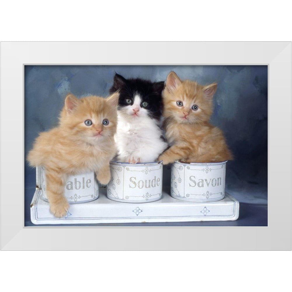 Hoenderkamp, Patrick 18x13 White Modern Wood Framed Museum Art Print ...