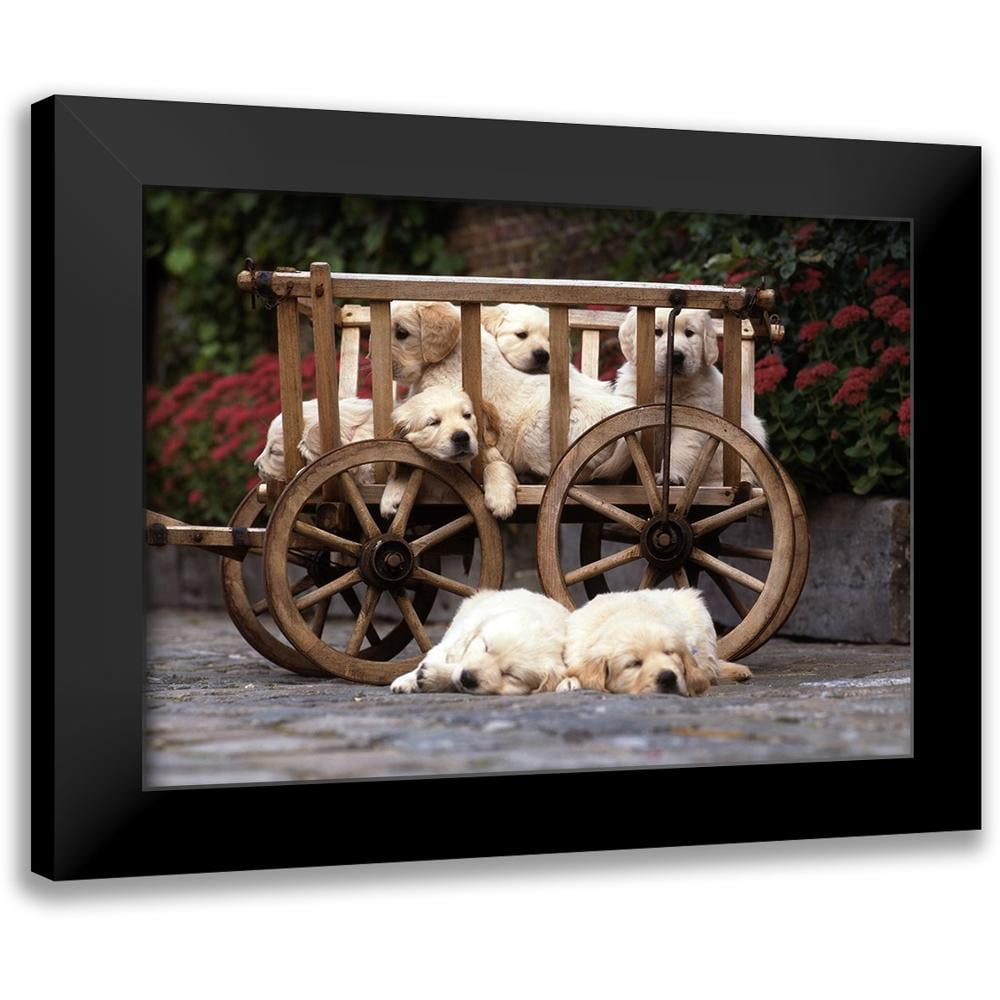 Hoenderkamp, Patrick 18x14 Black Modern Framed Museum Art Print Titled ...