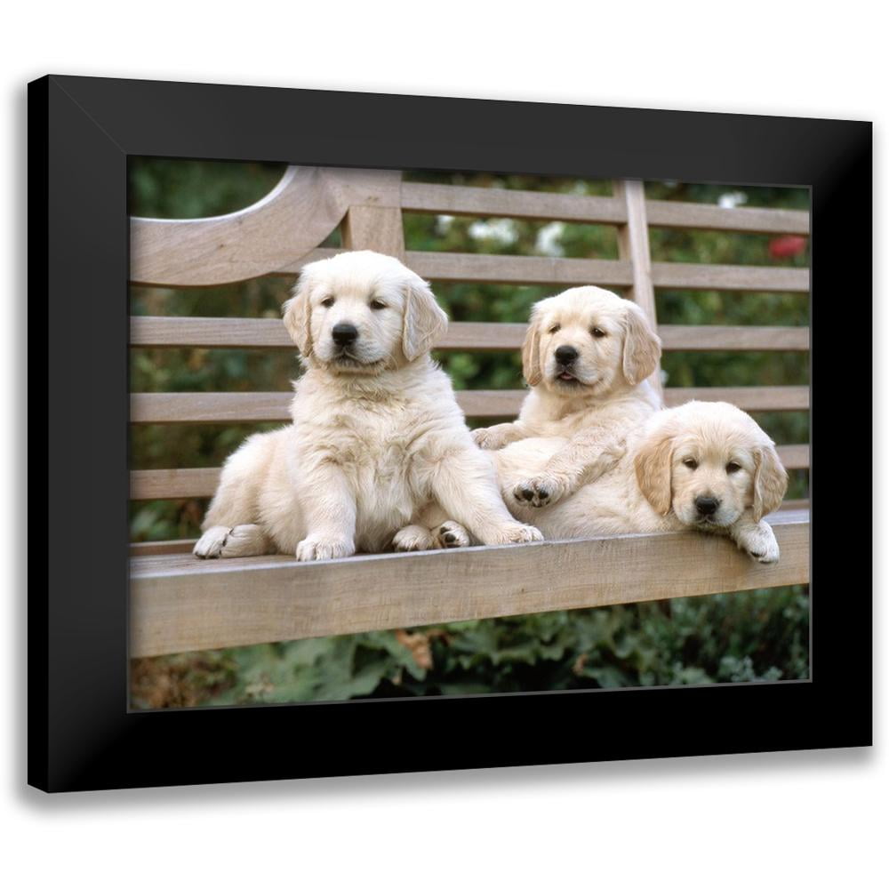 Hoenderkamp, Patrick 18x14 Black Modern Framed Museum Art Print Titled ...