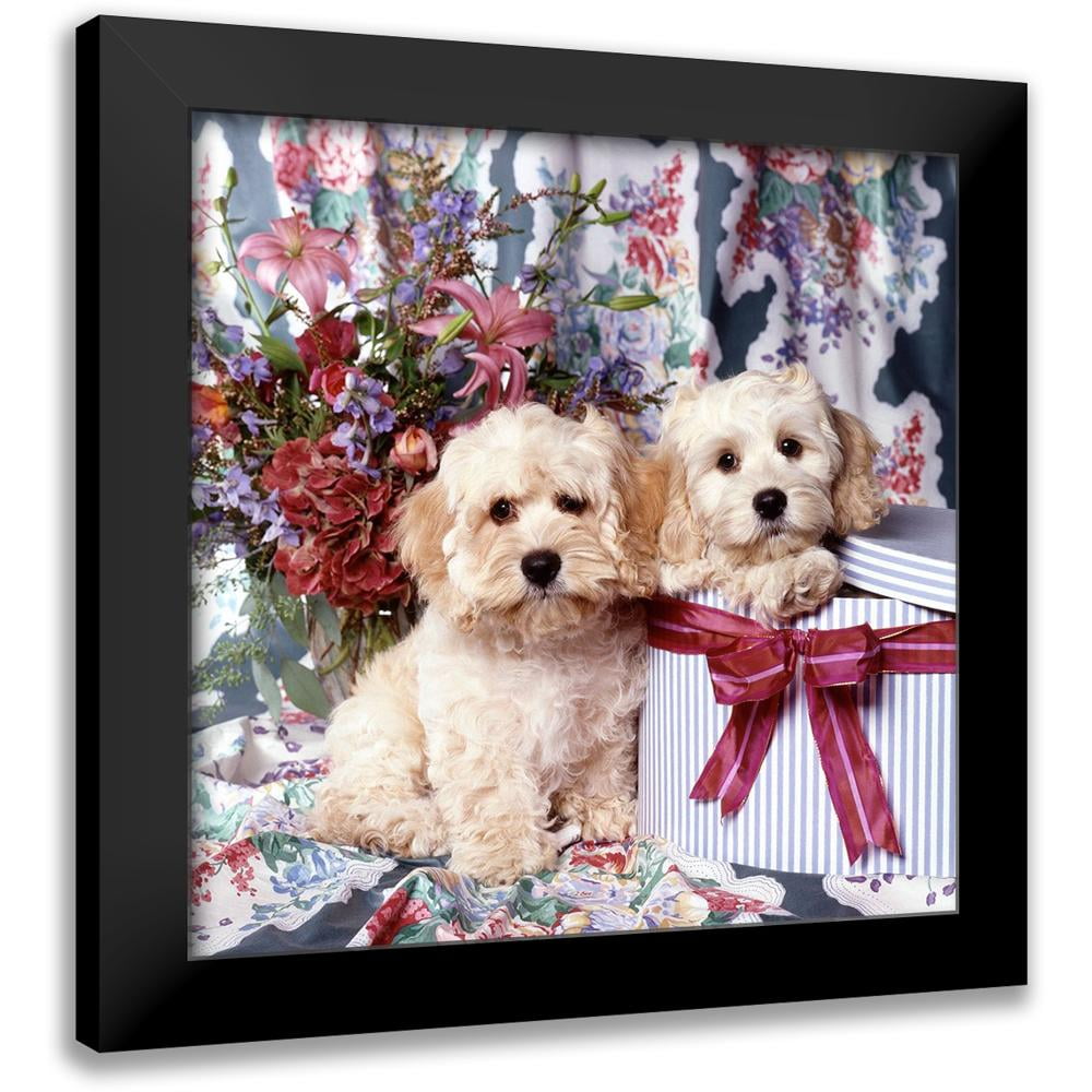 Hoenderkamp, Patrick 20x20 Black Modern Framed Museum Art Print Titled ...