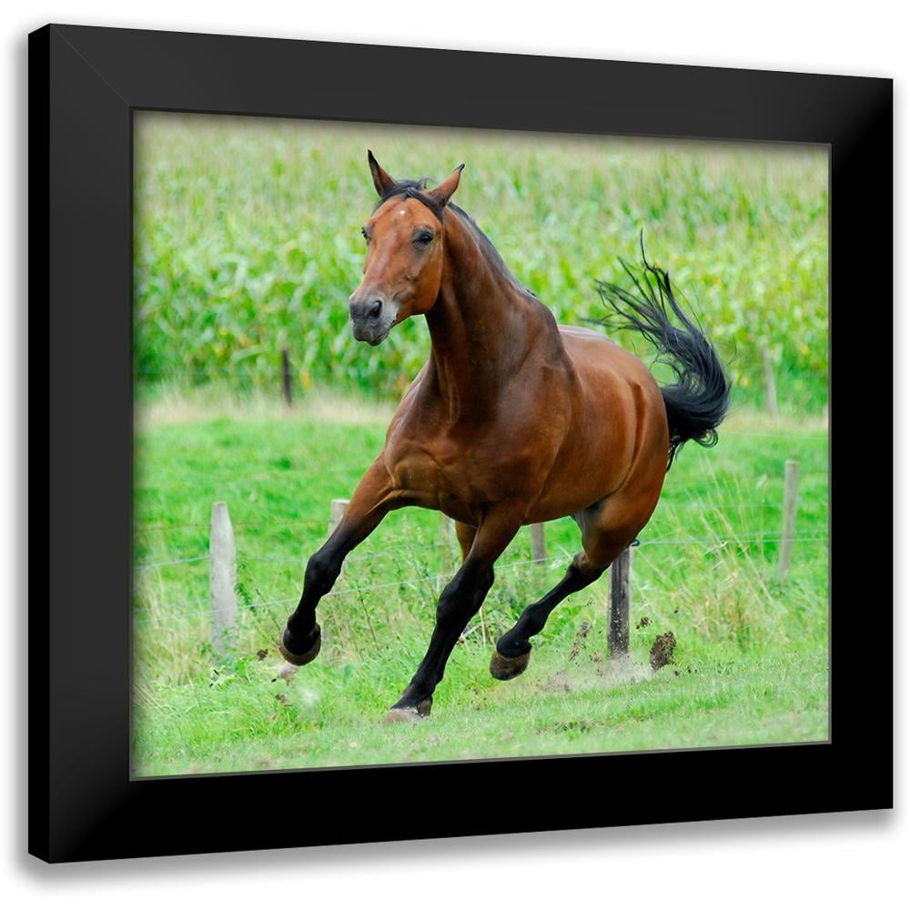 Hoenderkamp, Patrick 22x20 Black Modern Framed Museum Art Print Titled ...