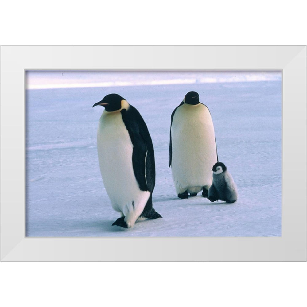 Hoenderkamp, Patrick 24x17 White Modern Wood Framed Museum Art Print ...