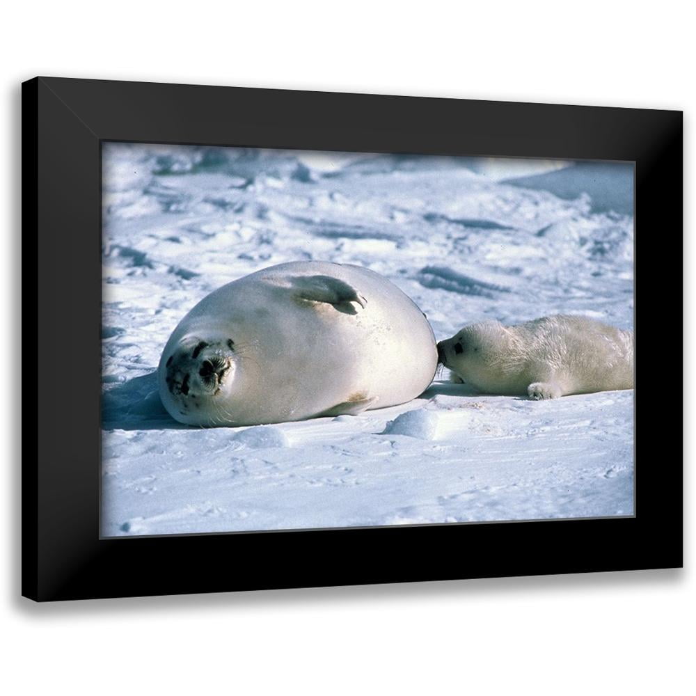 Hoenderkamp, Patrick 24x18 Black Modern Framed Museum Art Print Titled ...