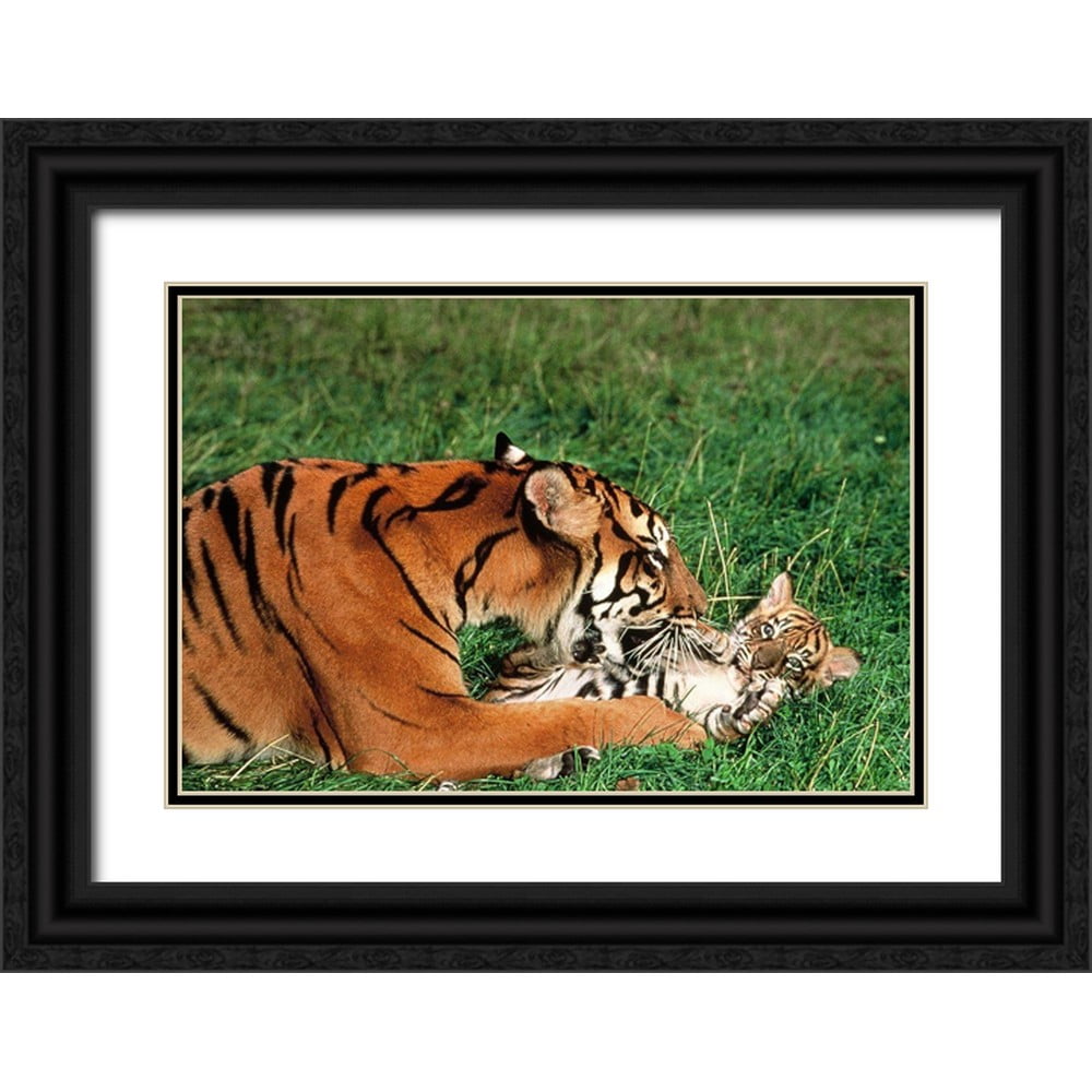 Hoenderkamp, Patrick 24x18 Black Ornate Wood Framed with Double Matting ...