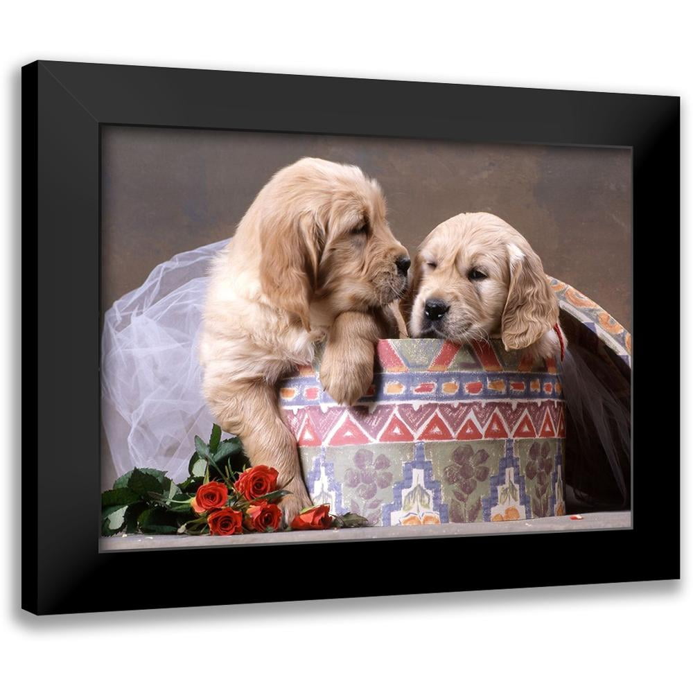 Hoenderkamp, Patrick 24x19 Black Modern Framed Museum Art Print Titled ...