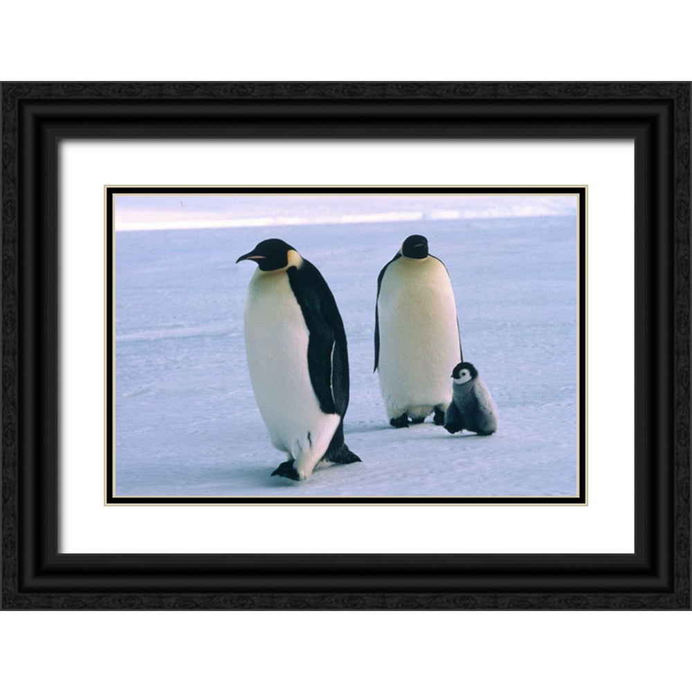 Hoenderkamp, Patrick 32x22 Black Ornate Wood Framed with Double Matting ...