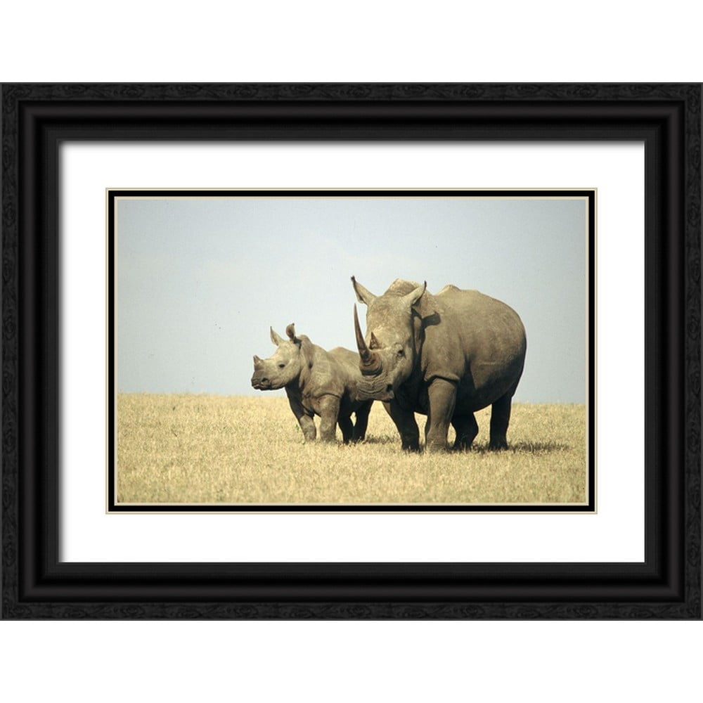 Hoenderkamp, Patrick 32x22 Black Ornate Wood Framed with Double Matting ...