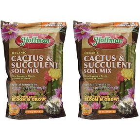 Cactus Soil for Healthy Succulents