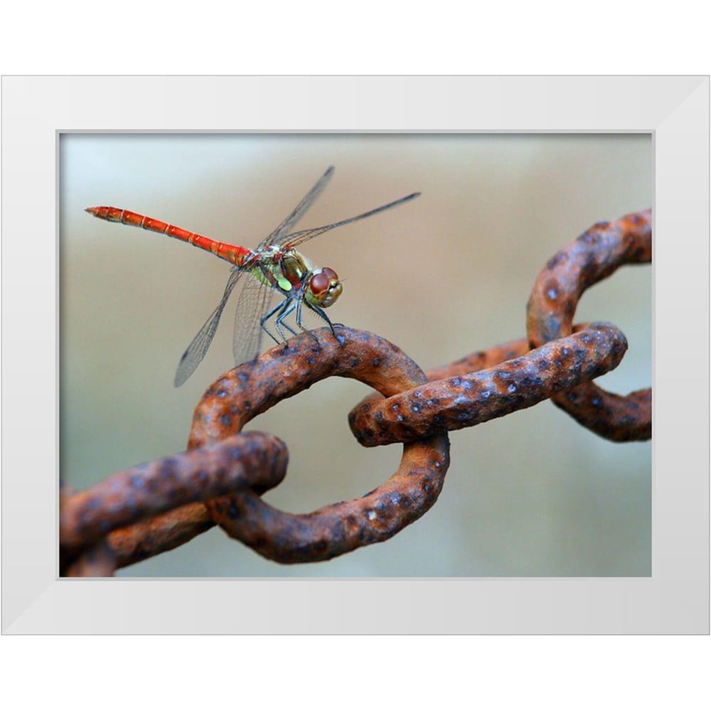 Hoffman, Jimmy 14x12 White Modern Wood Framed Museum Art Print Titled ...