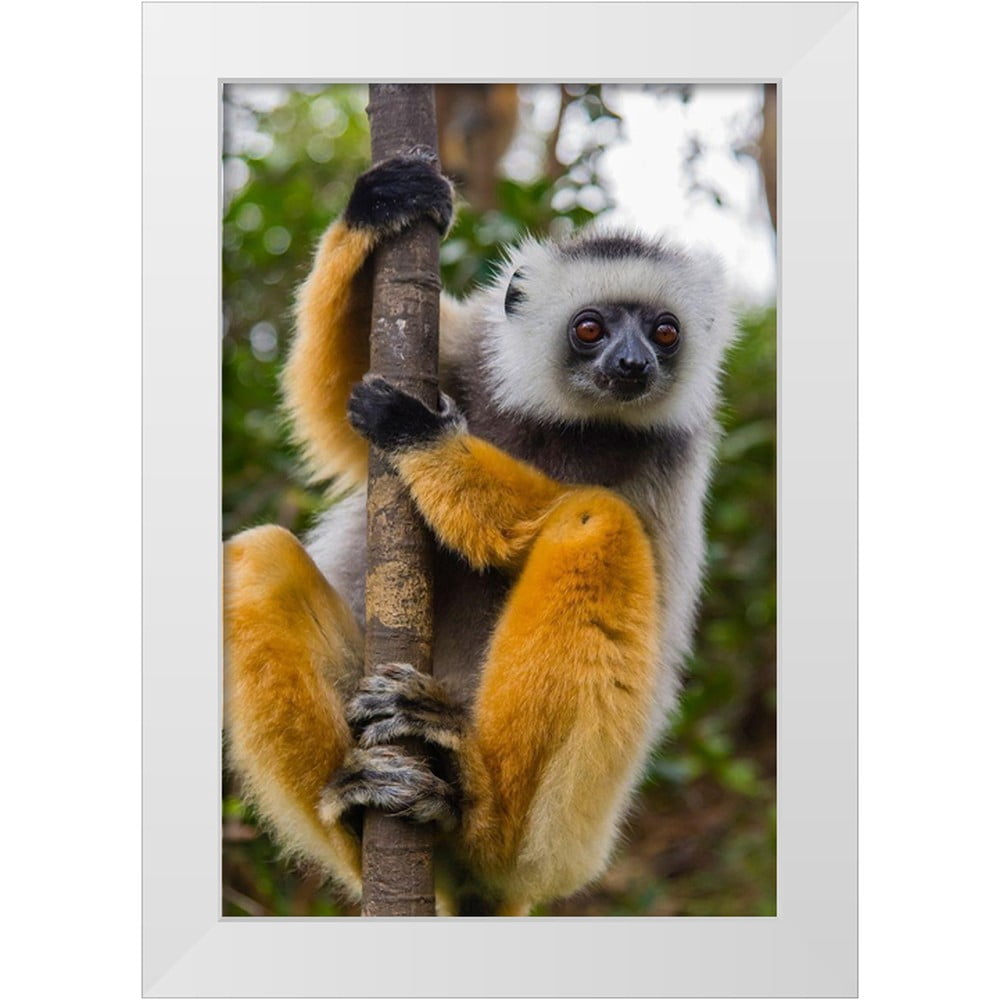 Hogstrom, Inger 17x24 White Modern Wood Framed Museum Art Print Titled ...