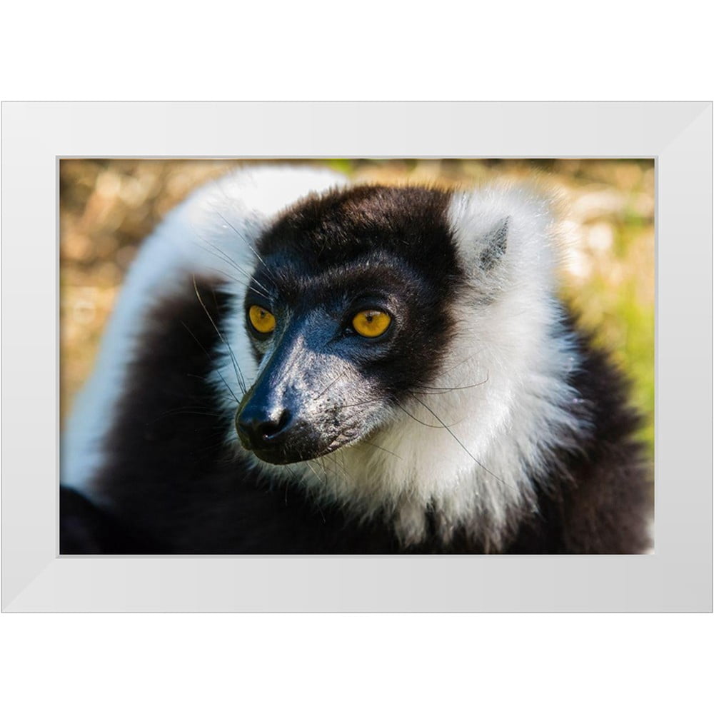 Hogstrom, Inger 18x13 White Modern Wood Framed Museum Art Print Titled ...