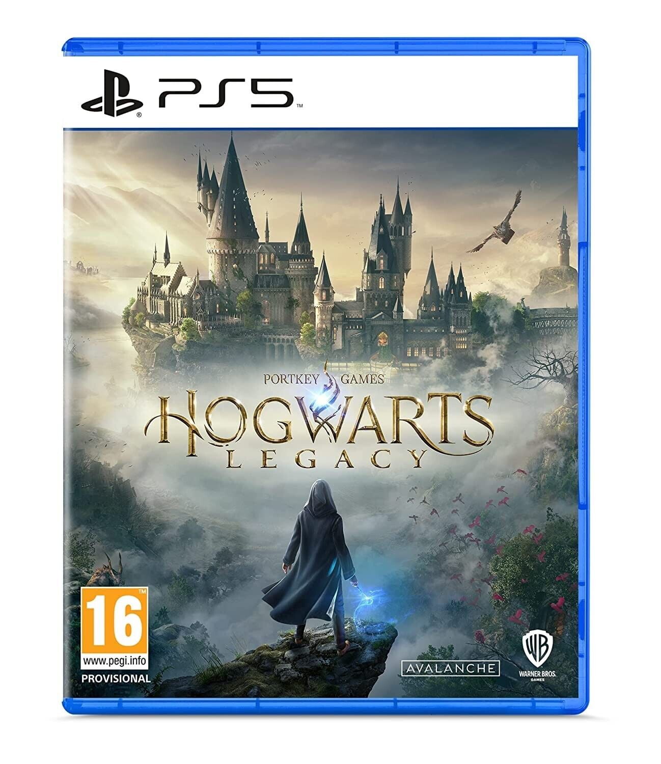 Hogwarts Legacy, PS5 Game, Region Free, Action Adventure Wizard RPG, UK ...
