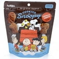 Hokka Snoopy Cookies Chocolate Chip Bag 1.93oz/55g - Walmart.com