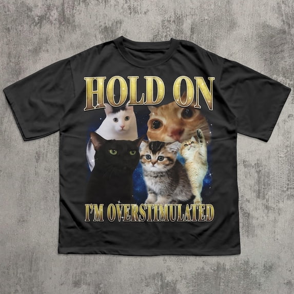 Hold On I'm Overstimulated T-Shirt, Vintage Cat Graphic Tee, Comfort ...