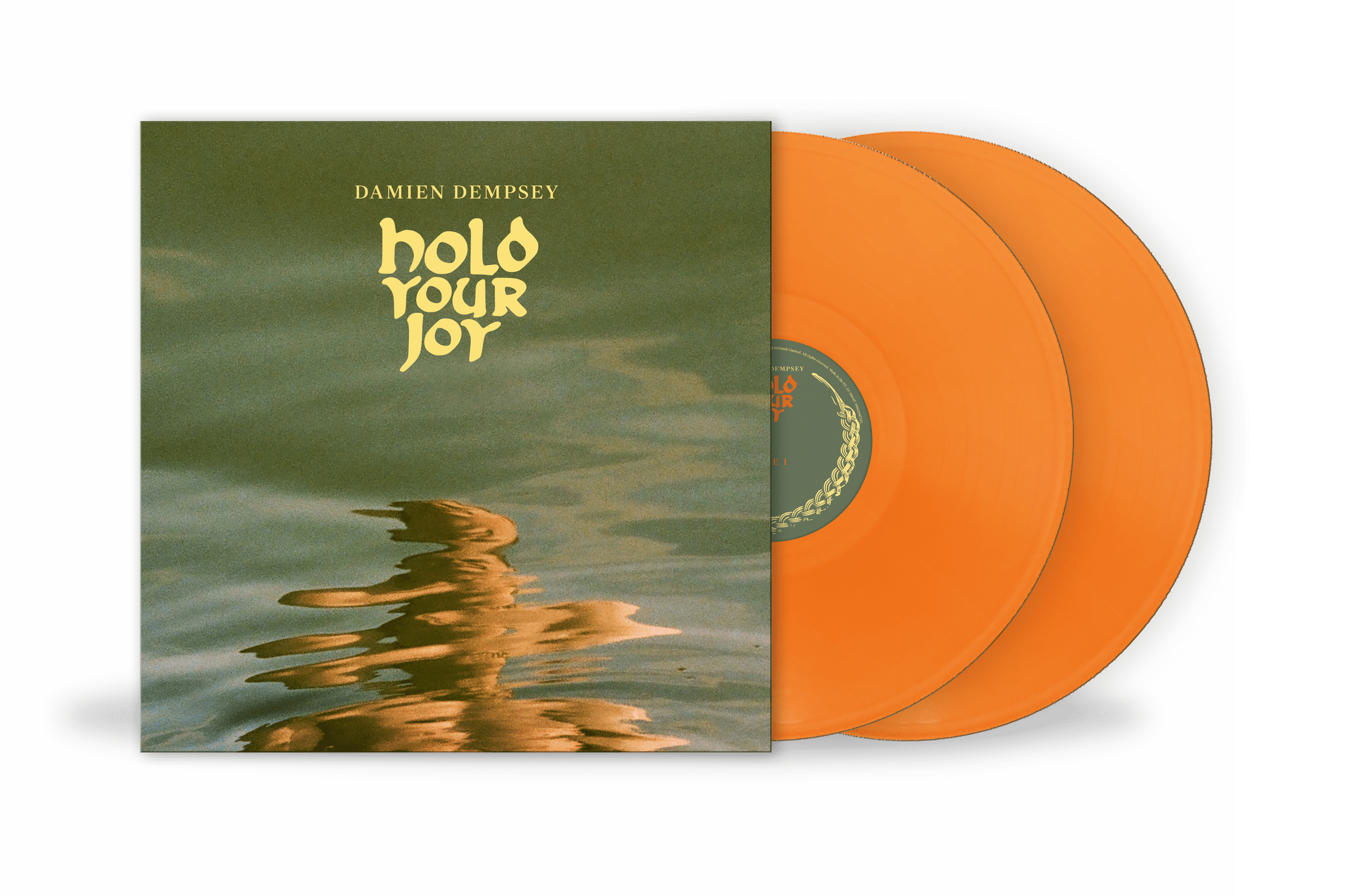 Damien Dempsey Hold Your Joy (Vinyl Record) 12" Album Coloured Vinyl ...