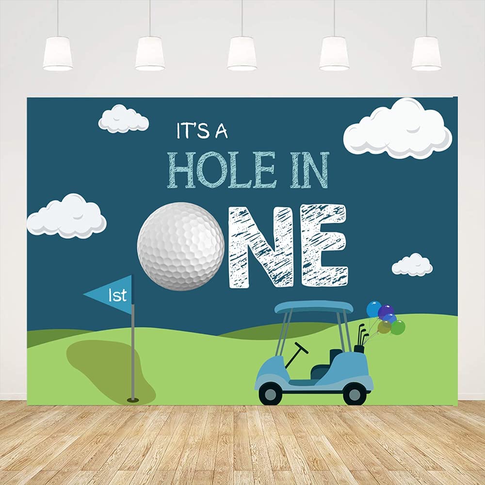 Hole in One 1st Birthday Photography Backdrop for Parties Blue Sky ...