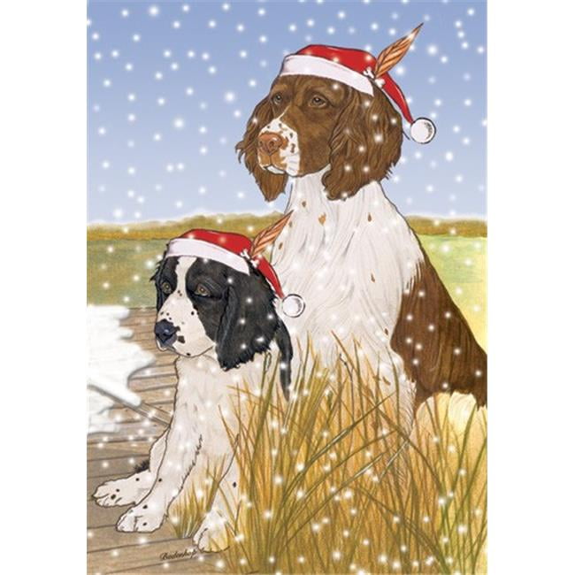 Holiday Boxed Cards- English Springer Spaniel - Walmart.com