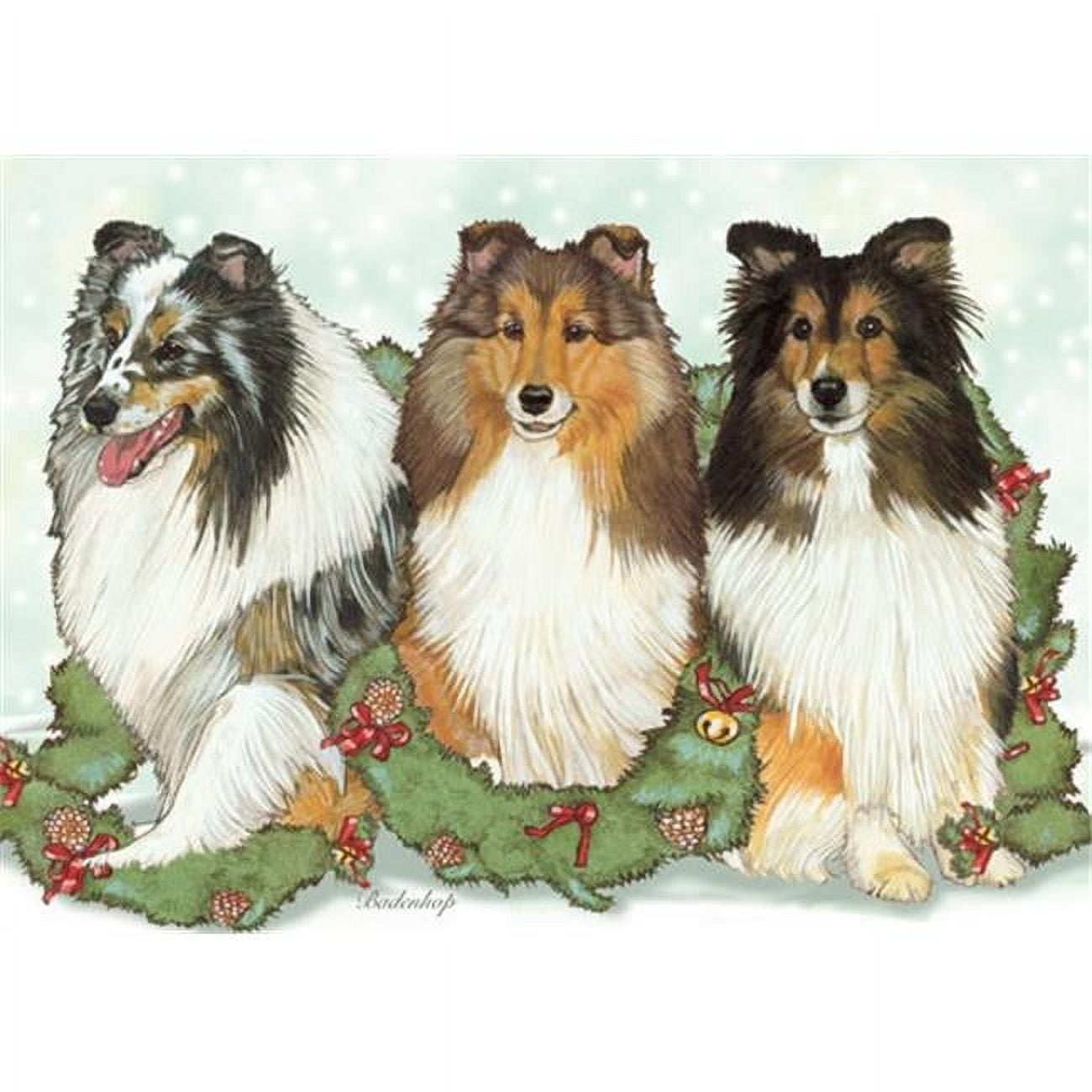 Holiday Boxed Cards- Shetland Sheepdogs - Walmart.com