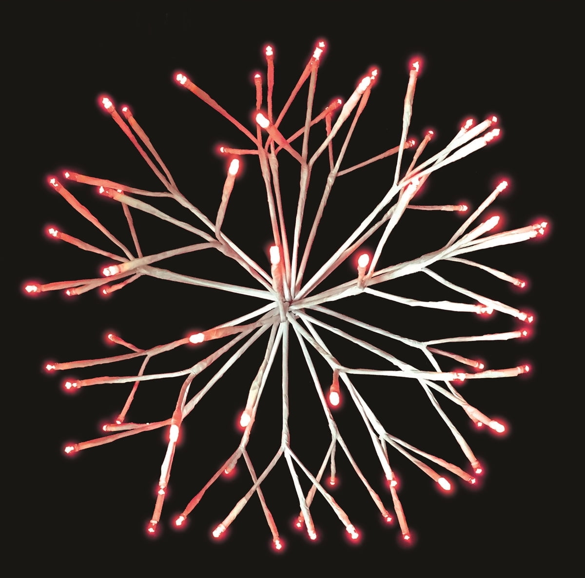 Holiday Bright LED3D16STLCLRD LED 3D Starlight Cluster with 72 Red ...