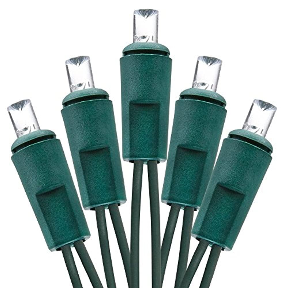 Holiday Essence 60 Led Mini Christmas Lights, Cool White - Professional ...