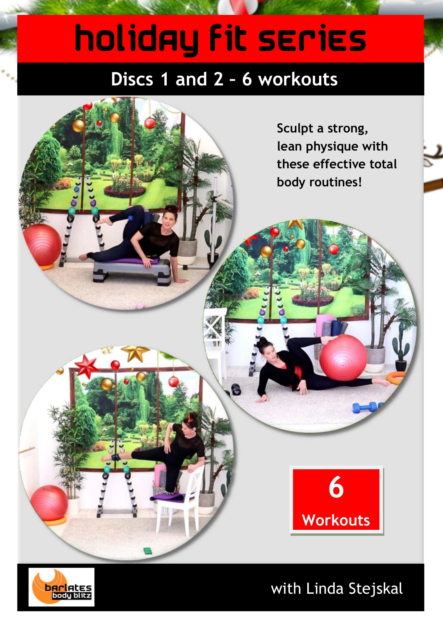 Holiday Fit 14 Workout Challenge DVDs (5 DVD Set) - Barlates Body Blitz ...