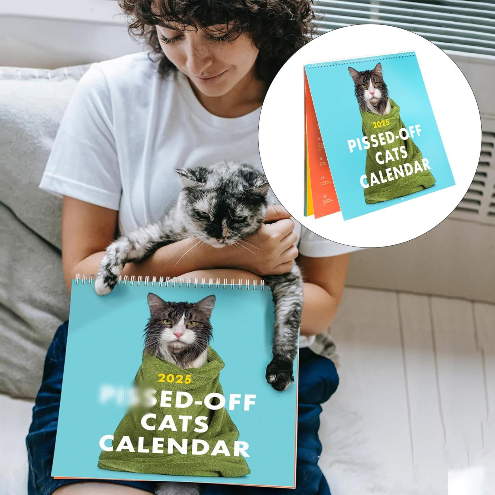 Holiday Gifts Calendar Fun Playful Gifts For Cat Lovers 12 Month Joke ...