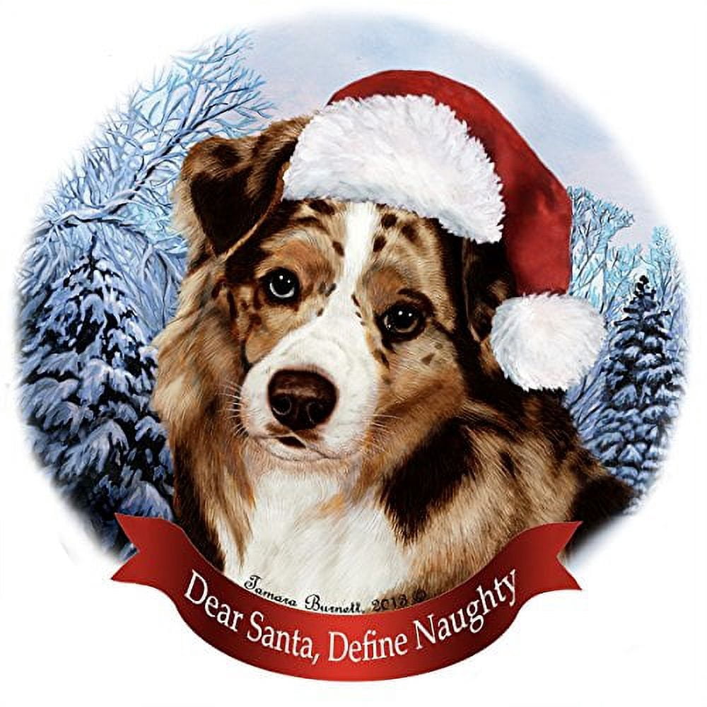 Red Merle Australian Shepherd