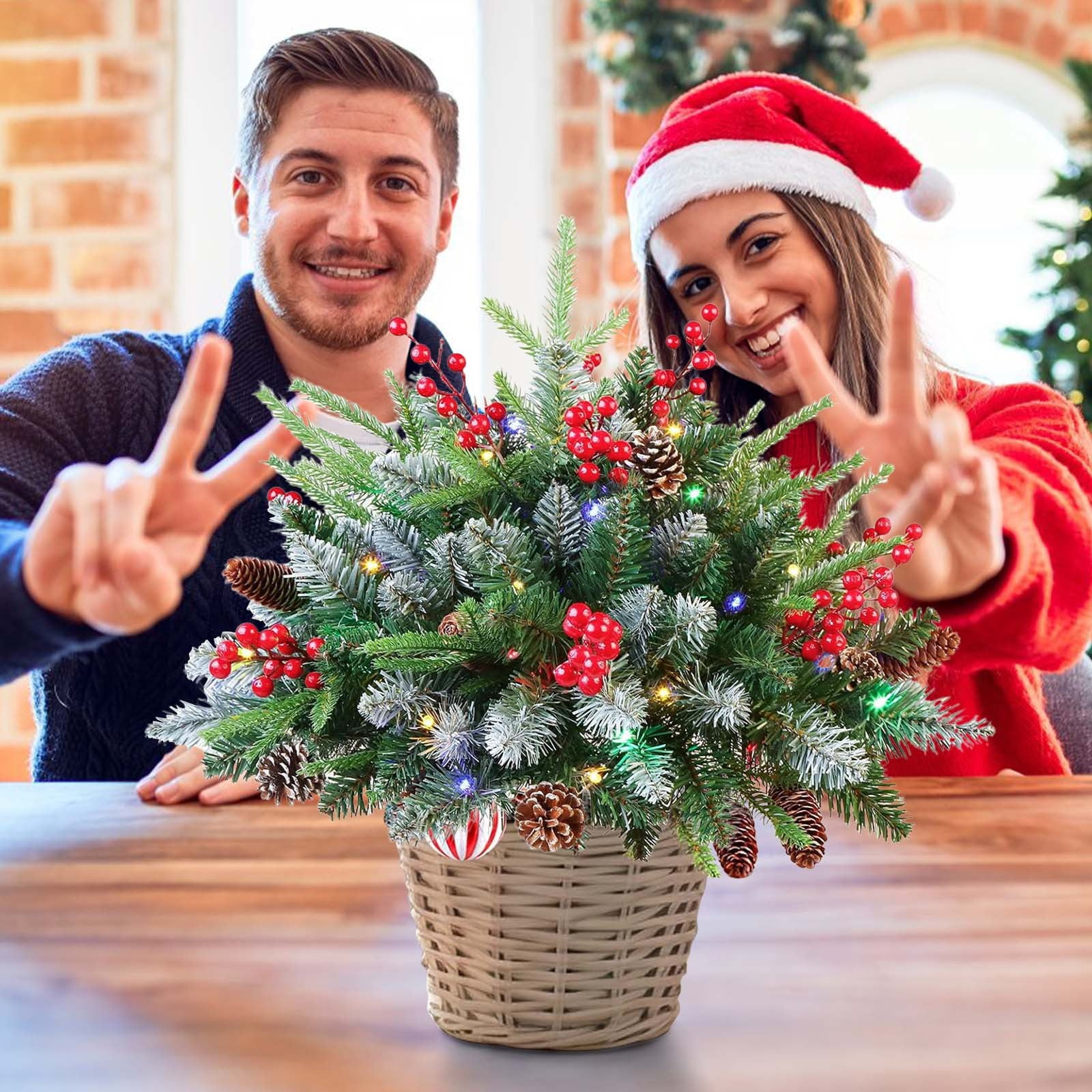 Holiday Planter Filler, Christmas Pot Fillers Outdoor Front Porch ...