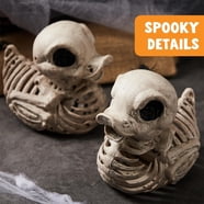 Outdoor Skeleton Turtle Animal Decor for Halloween, Approx. 2x4.5x7.75 ...