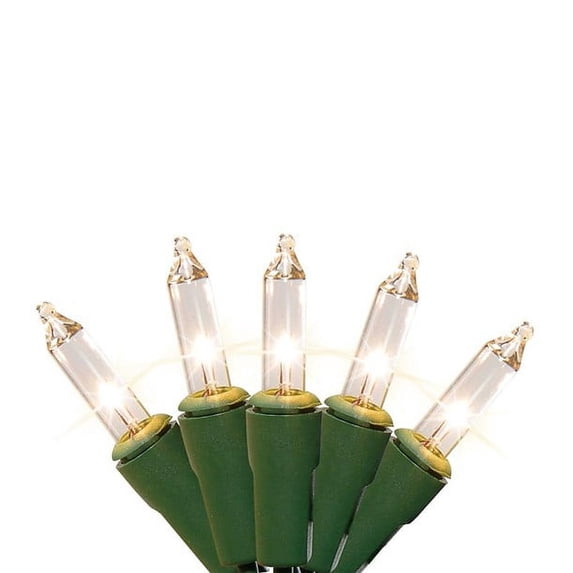 Holiday String Lights, 20 ft with 100 White Incandescent Bulbs for ...