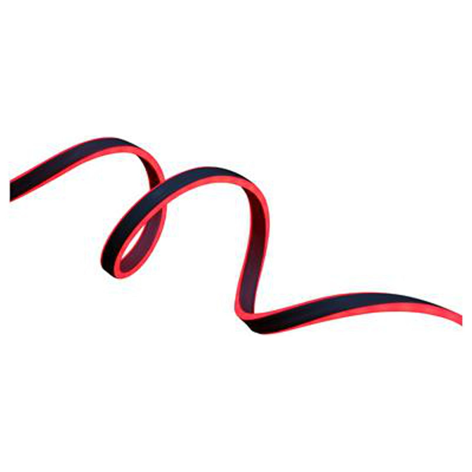 Holiday Wonderland DSNFCB2835108CM4M120VR Neon Flex Rope Light, Red, 13 ...