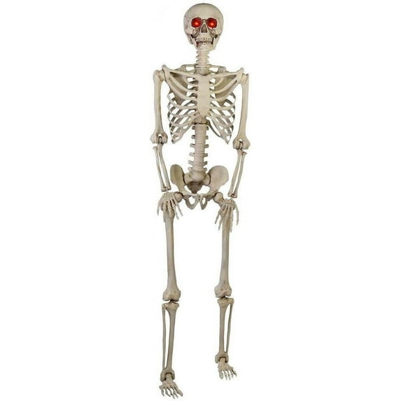 HolidayGanmm 5 ft. Poseable Skeleton with LED Illumination - Walmart.com