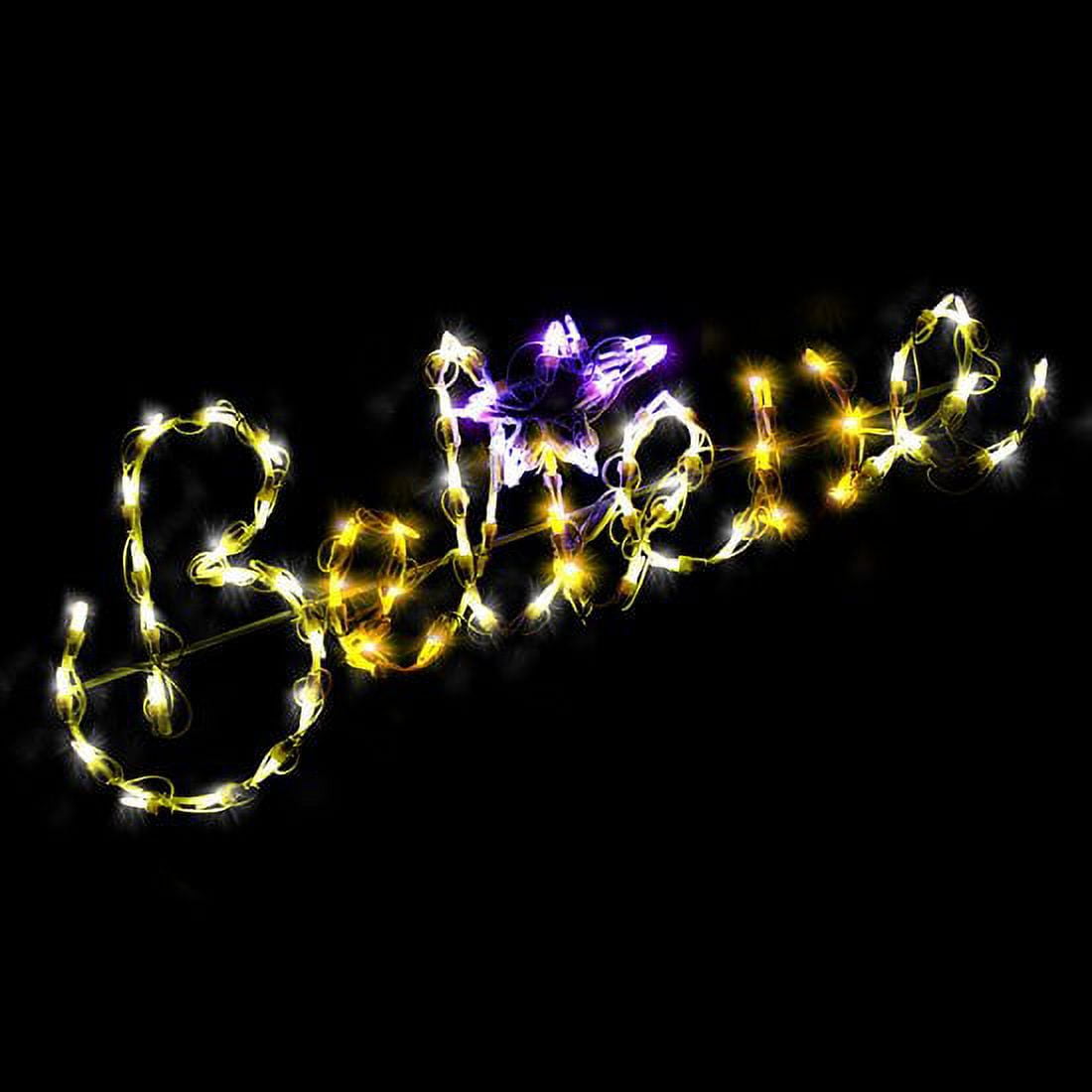 Holidynamics Warm White and Gold LED Outdoor Metal Frame 32in Believe ...