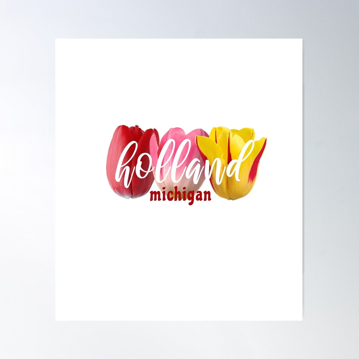 Holland Michigan Tulip Time Poster Wall Art, Modern Wall Decor For ...