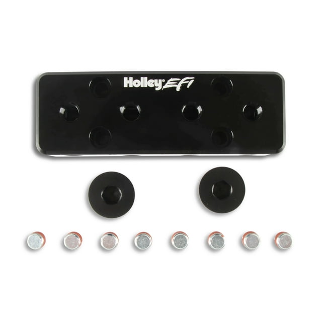 Holley EFI 534-52 Vacuum Manifold - Walmart.com