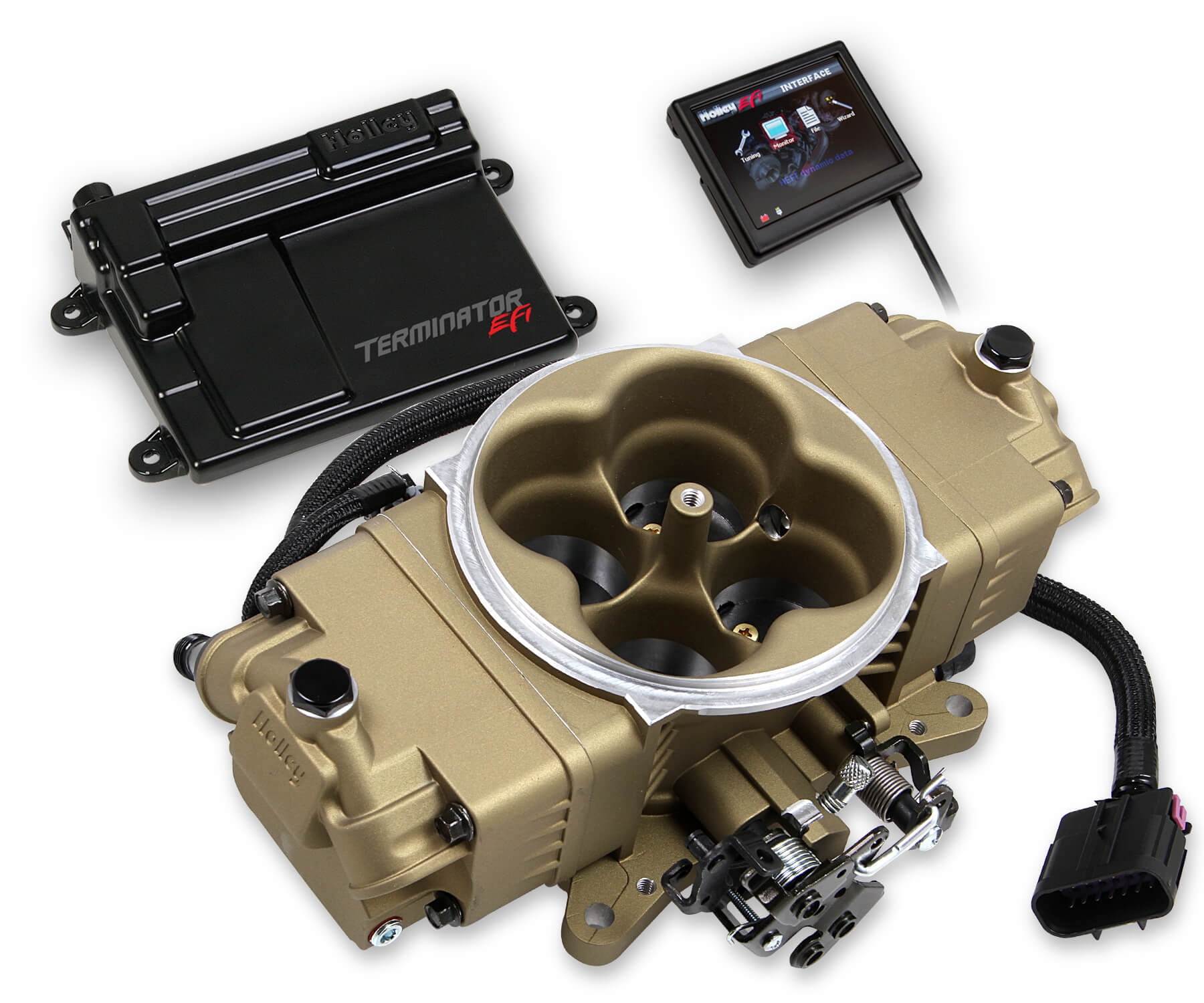 Holley EFI 550-444K Fuel Injection System - Walmart.com