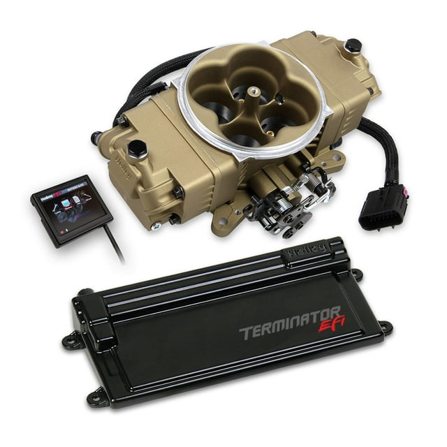 Holley EFI 550-445 Fuel Injection System - Walmart.com