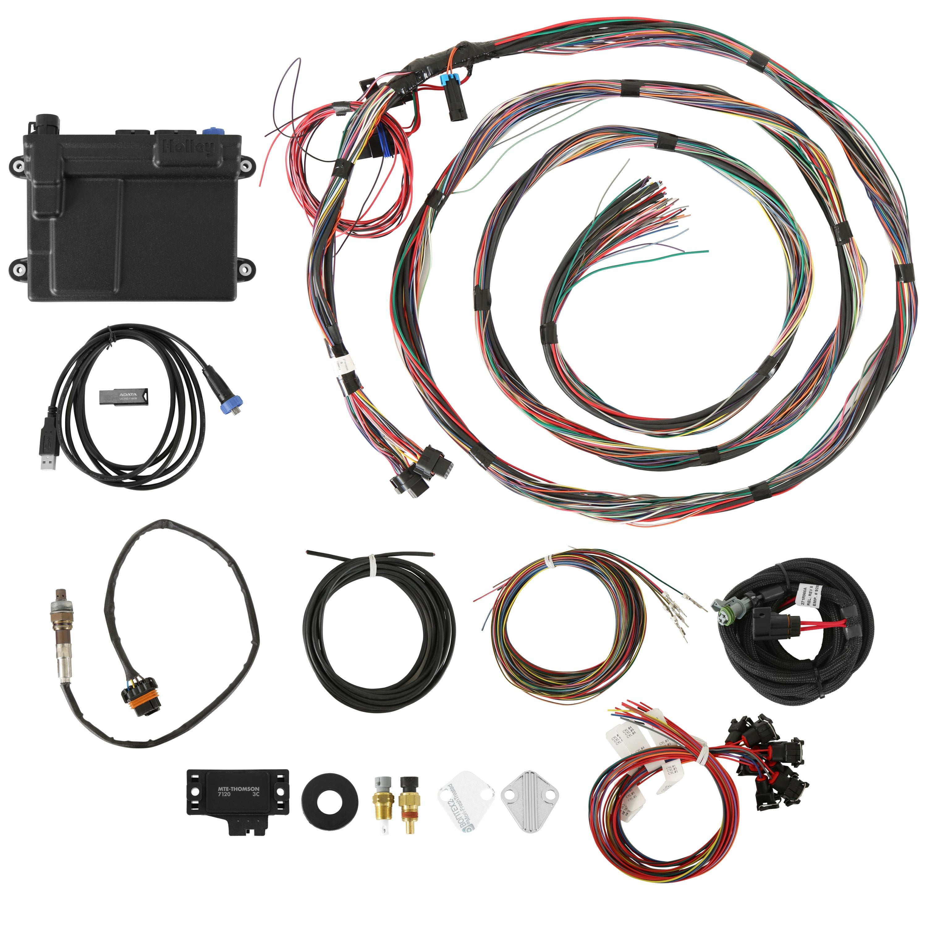 Holley EFI 550-605N HP EFI ECU & Harness Kits - Walmart.com