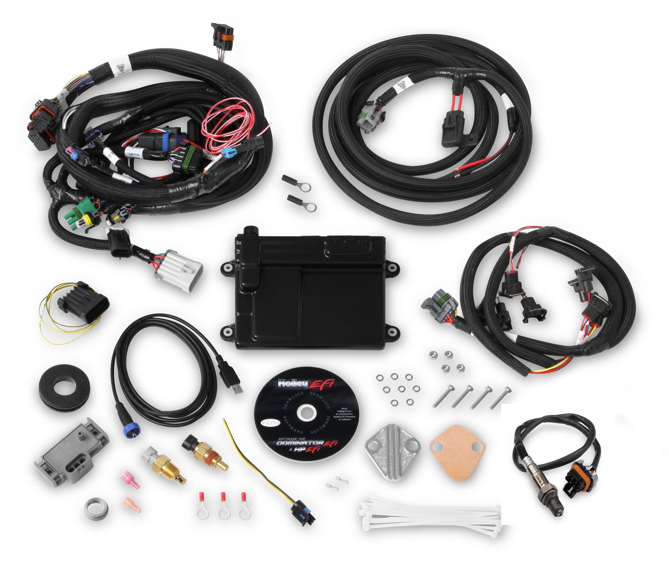 Holley EFI 550-606 HP EFI ECU & Harness Kits - Walmart.com